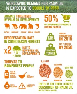 What's the problem with palm oil? | Sussex Green Living