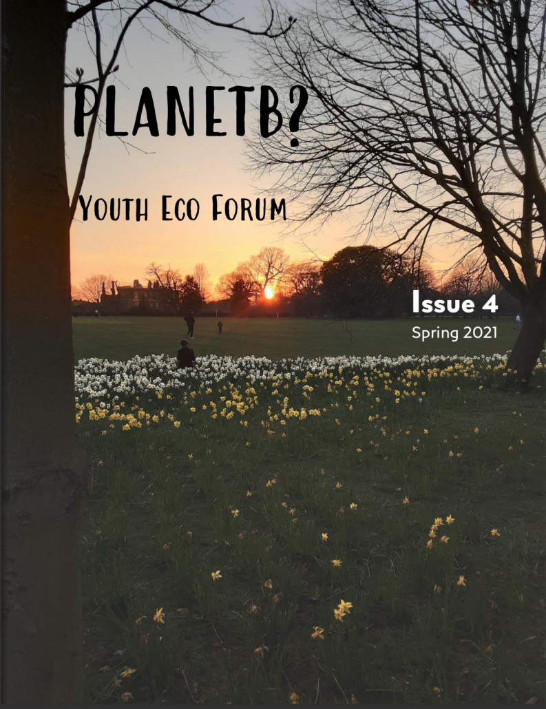 Sussex Green Living 2021 Roundup By Morag Warrack | Sussex Green Living