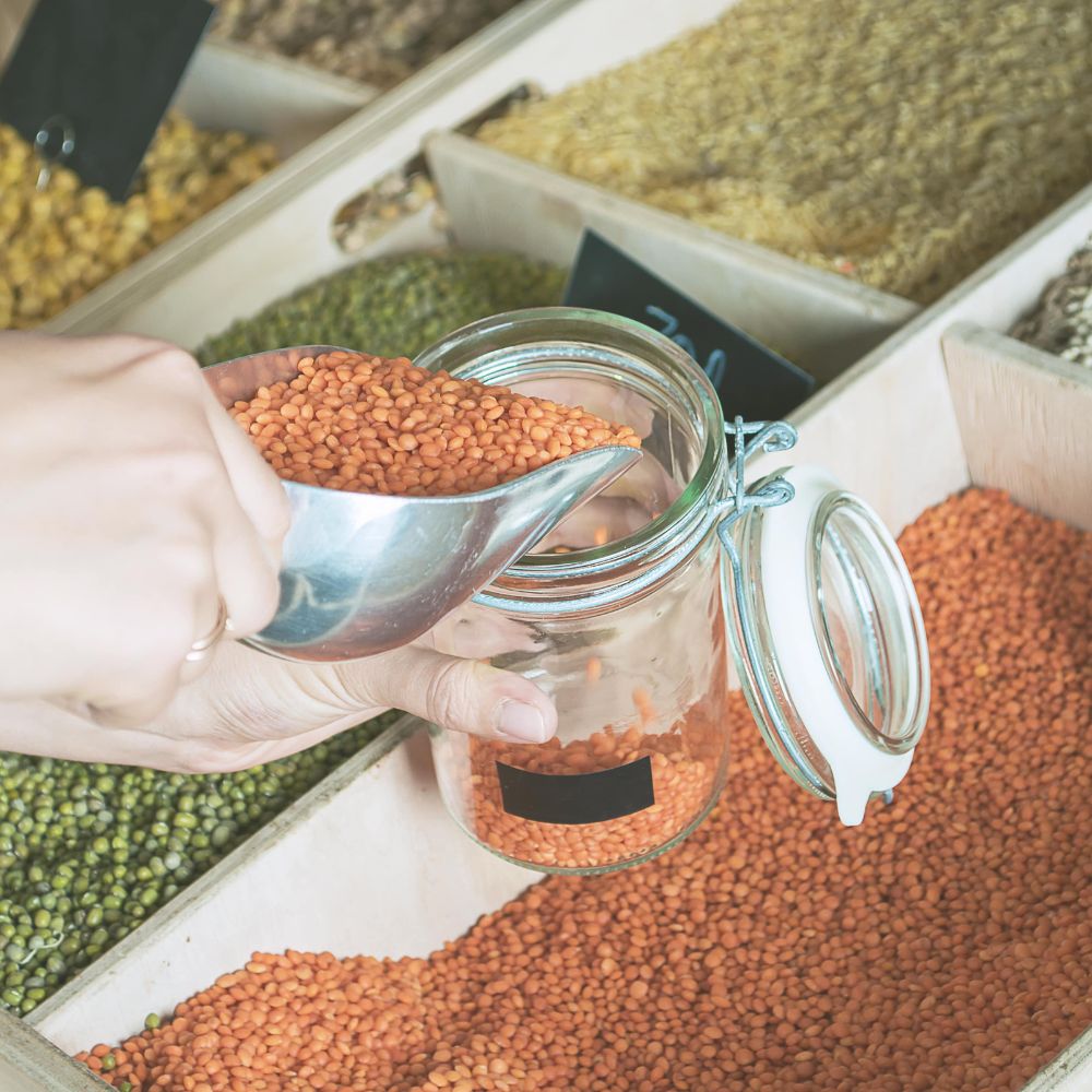 Green Ideas | Sussex Green Living