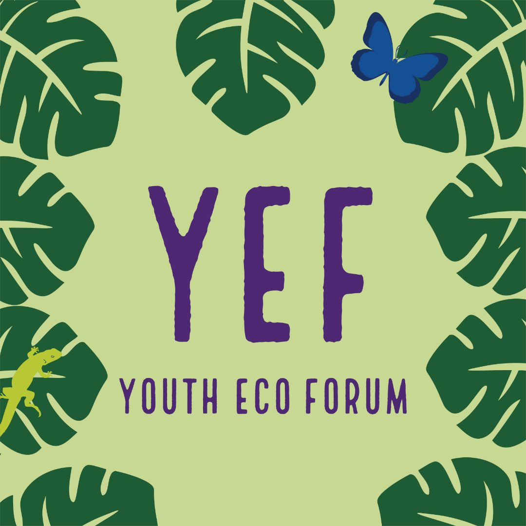Volunteer with us