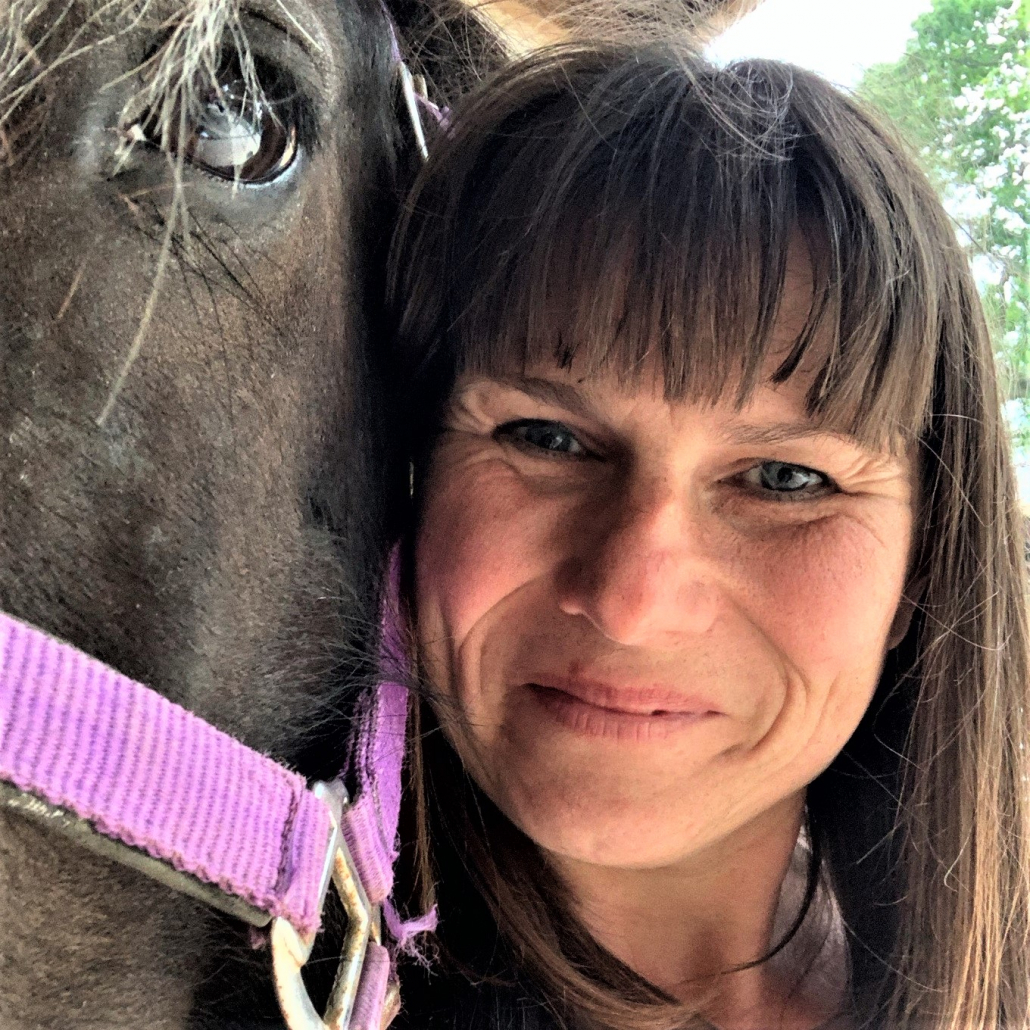 Shipley Community Hub: At the heart of a village